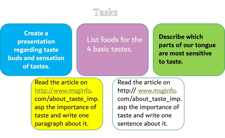 Exploring the Sense of Taste – Ms. Grace Science Lessons
